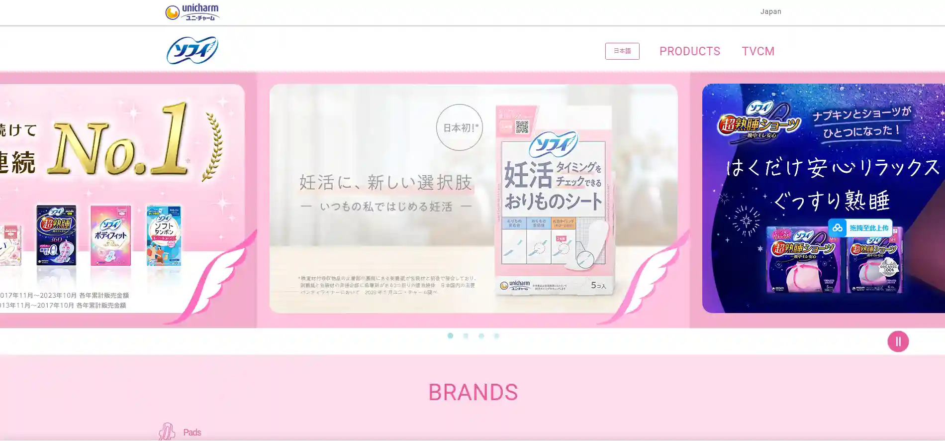 Top 7 Sanitary Pads Manufacturers in Japan